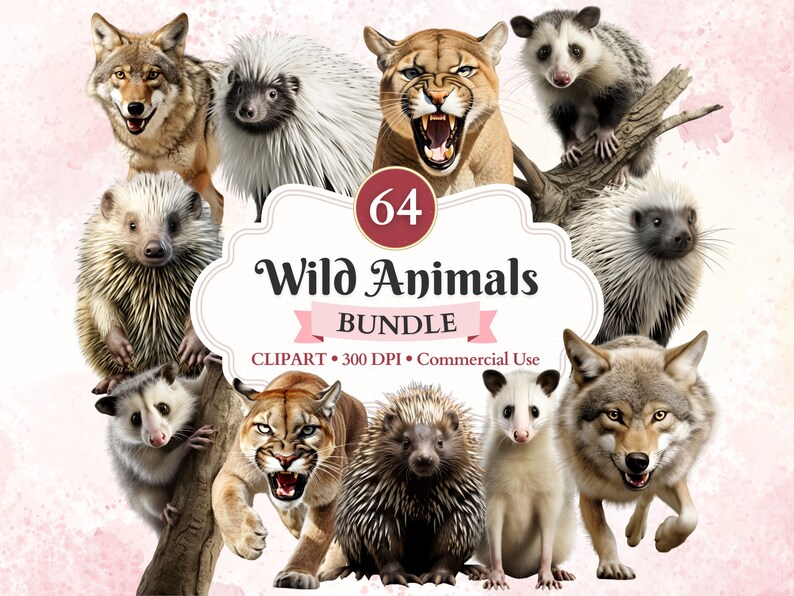 Wild Animals Clipart Bundle, Coyote, Opossum Png, Cougar, Porcupine ...