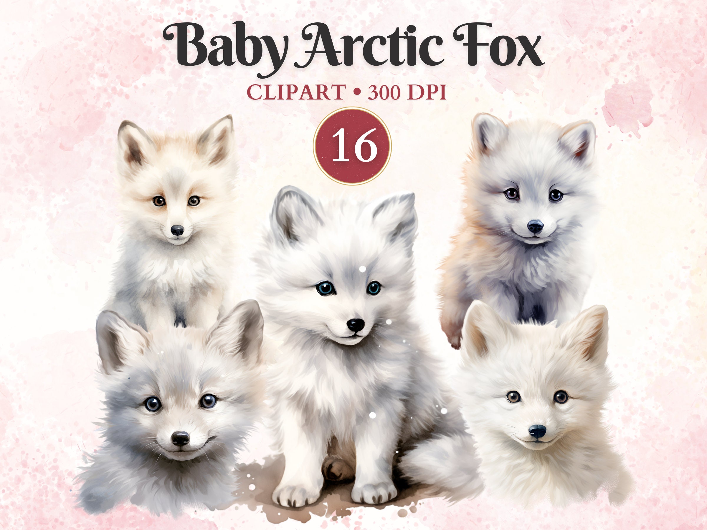 Baby Arctic Fox Clipart, Cute Fox, Wildlife, Arctic Animals, Winter ...