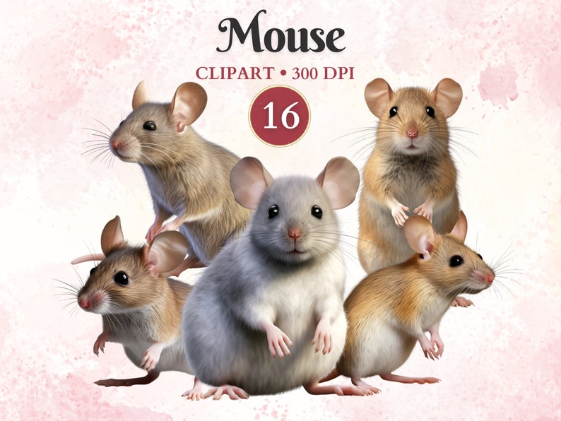 Mouse Clipart, Domestic Animals, Mouse Png, Rodent Clipart, Rodent ...