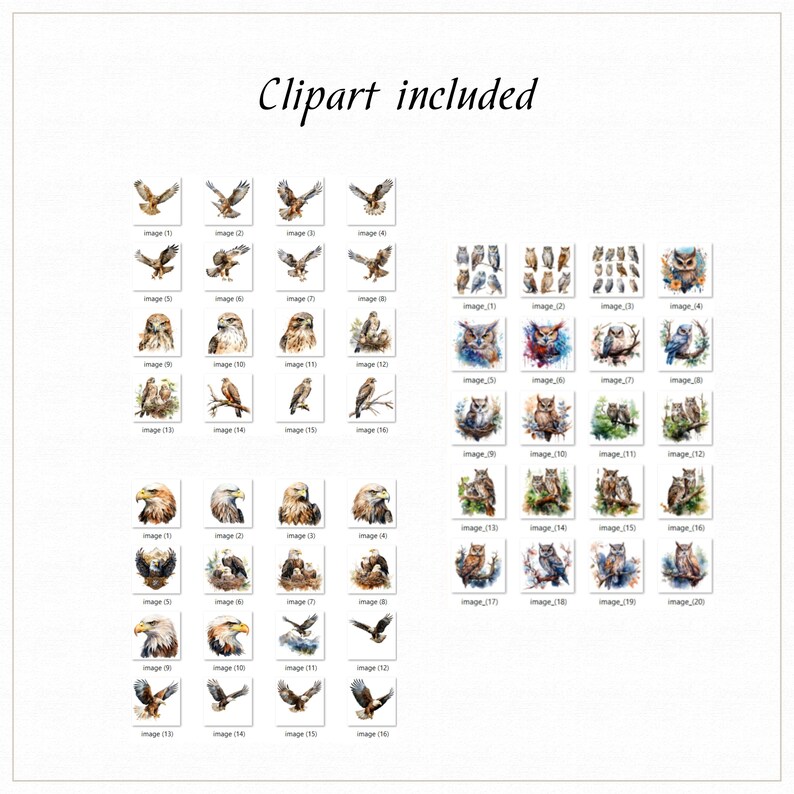 Birds Clipart Bundle, Bird Png, Bird Silhouette, Bird Vector, Nature ...