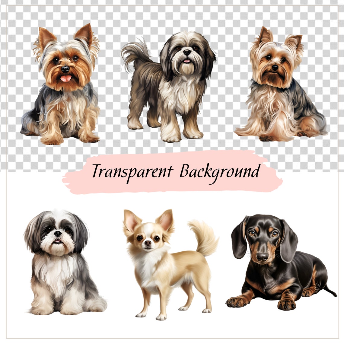 Dogs Breeds Clipart Bundle, Shih Tzu Png, Dachshund Vector, Cute ...