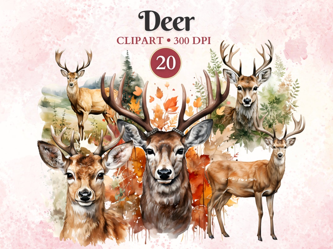 Deer Clipart, Watercolor, Deer Png, Hunting, Head, Woodland Animal ...