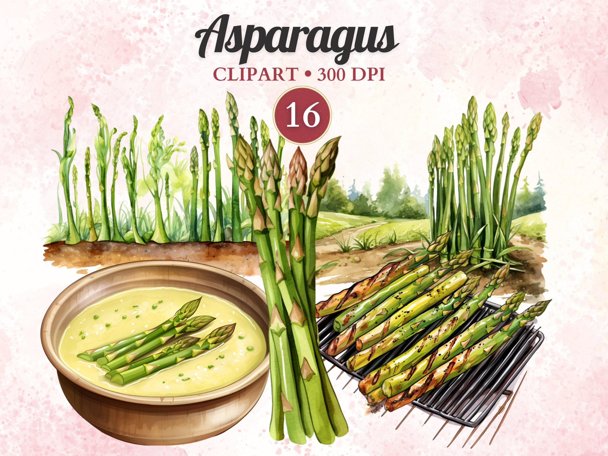 Asparagus Clipart, Watercolor, Vegetables Png, Healthy Food, Veggie ...