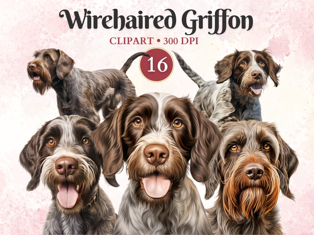 Wirehaired Griffon Clipart, Pointing Griffon, Dog Silhouette Clip Art ...