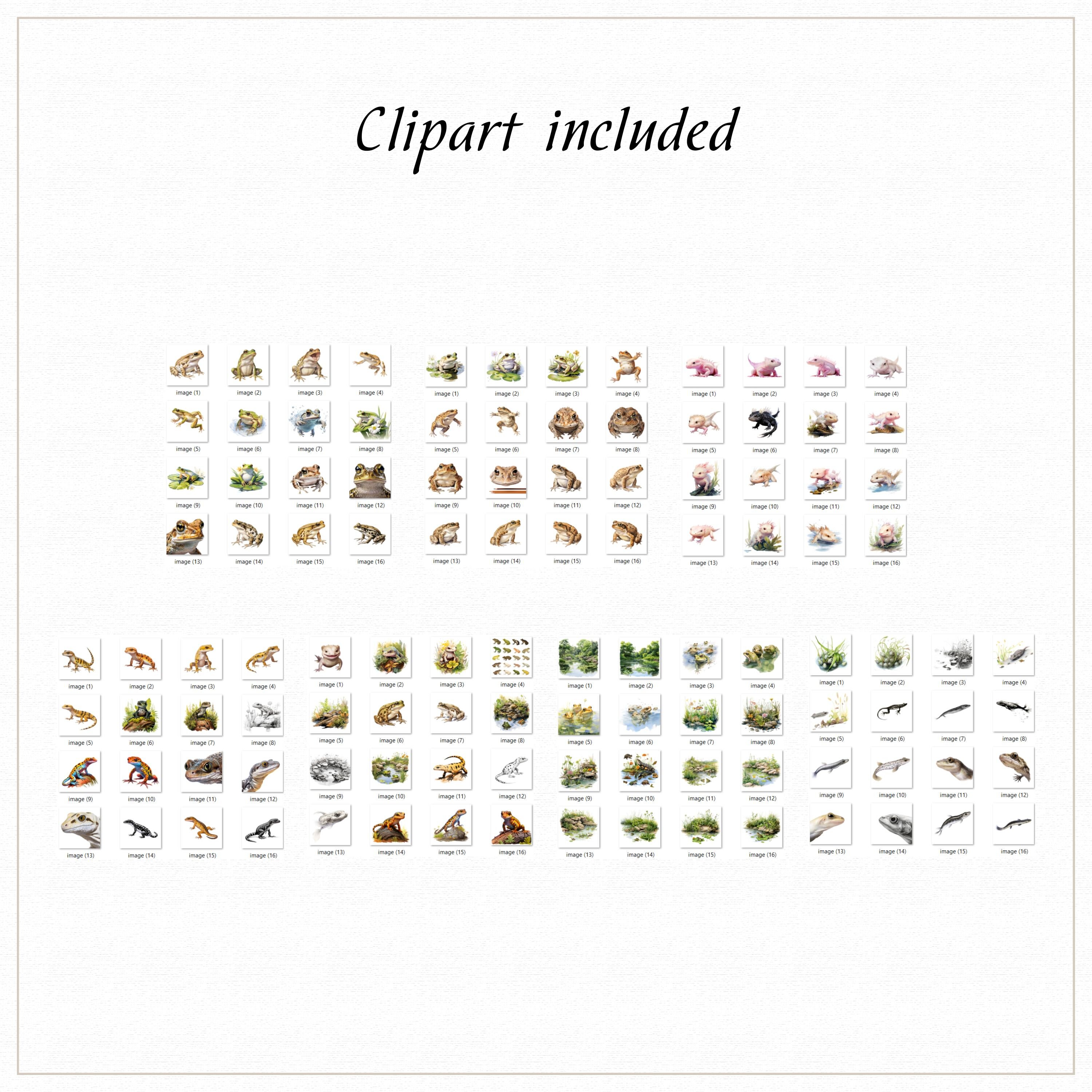 Amphibians Clipart Bundle, Frog Clipart, Frog Vector, Salamander ...