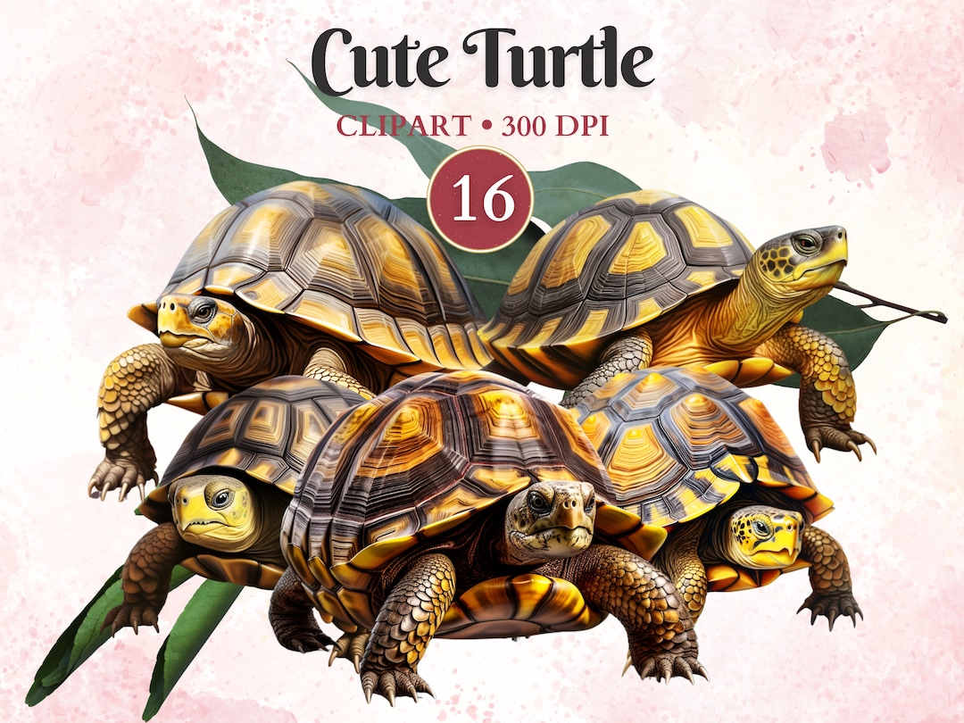 Cute Turtle Clipart, Adorable Turtle Graphics, Tortoise Clipart ...
