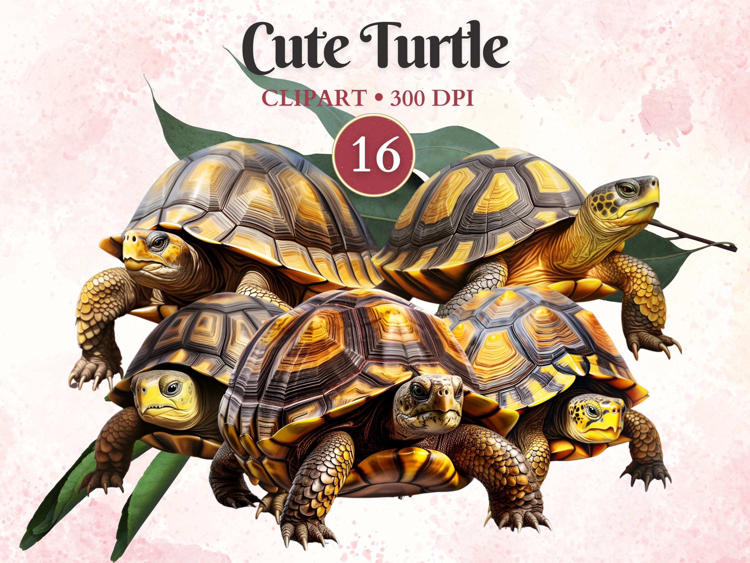 Cute Turtle Clipart, Adorable Turtle Graphics, Tortoise Clipart ...