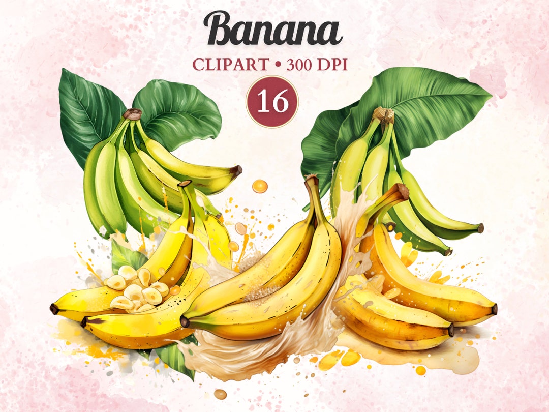 Banana Clipart, Banana Illustration, Healthy Food Clipart, Tropical ...