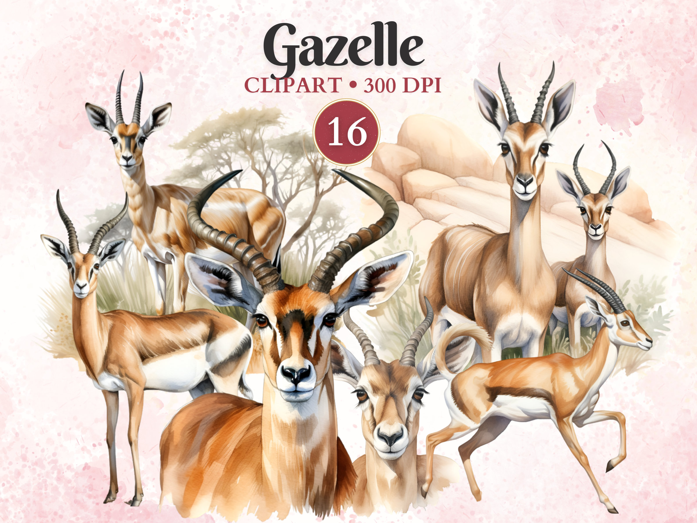Gazelle Clipart, Gazelle Png, Gazelle Silhouette, Watercolor Safari ...