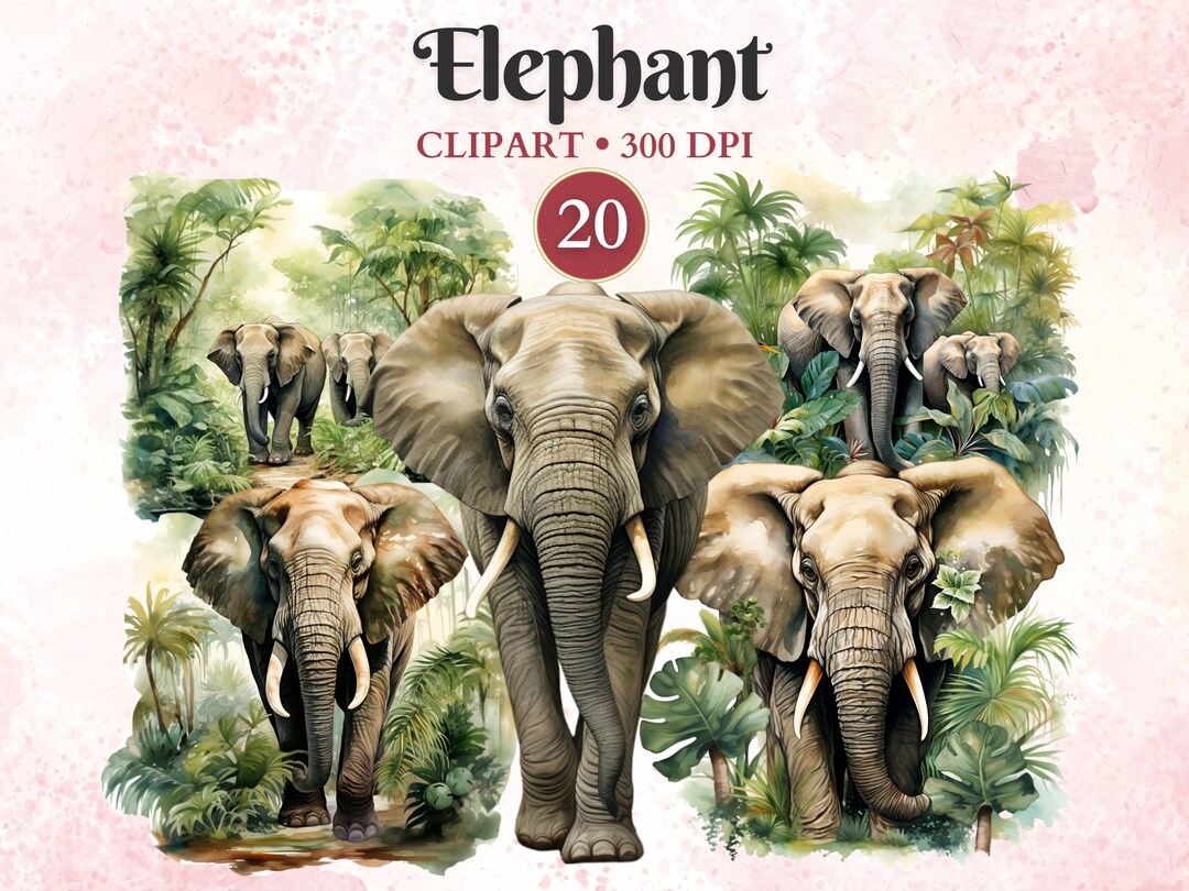 Elephant Clipart, Elephant Png, Jungle Animal Clipart, Woodland, Forest ...