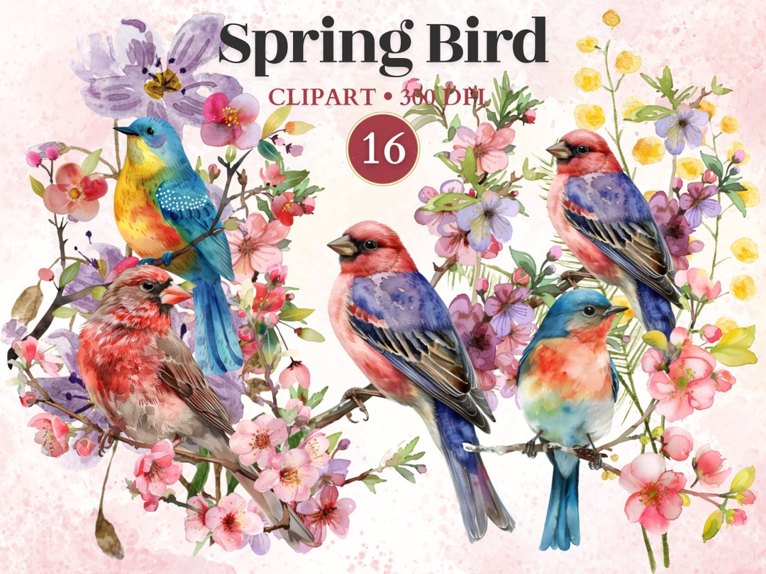 Spring Bird Clipart, Bird on Branch, Springtime Graphics, Spring ...