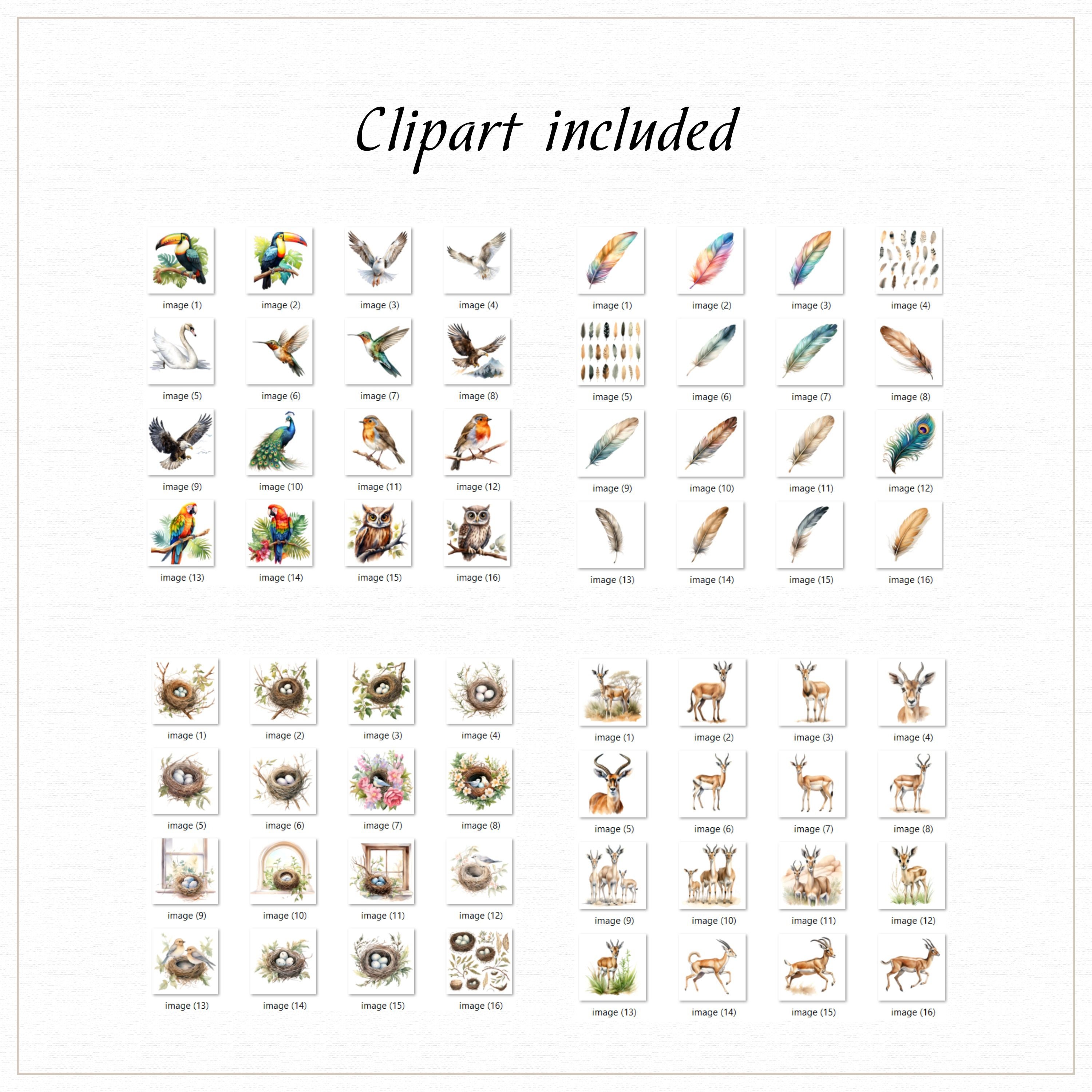 Birds Clipart Bundle, Bird Png, Bird Silhouette, Bird Vector, Nest ...