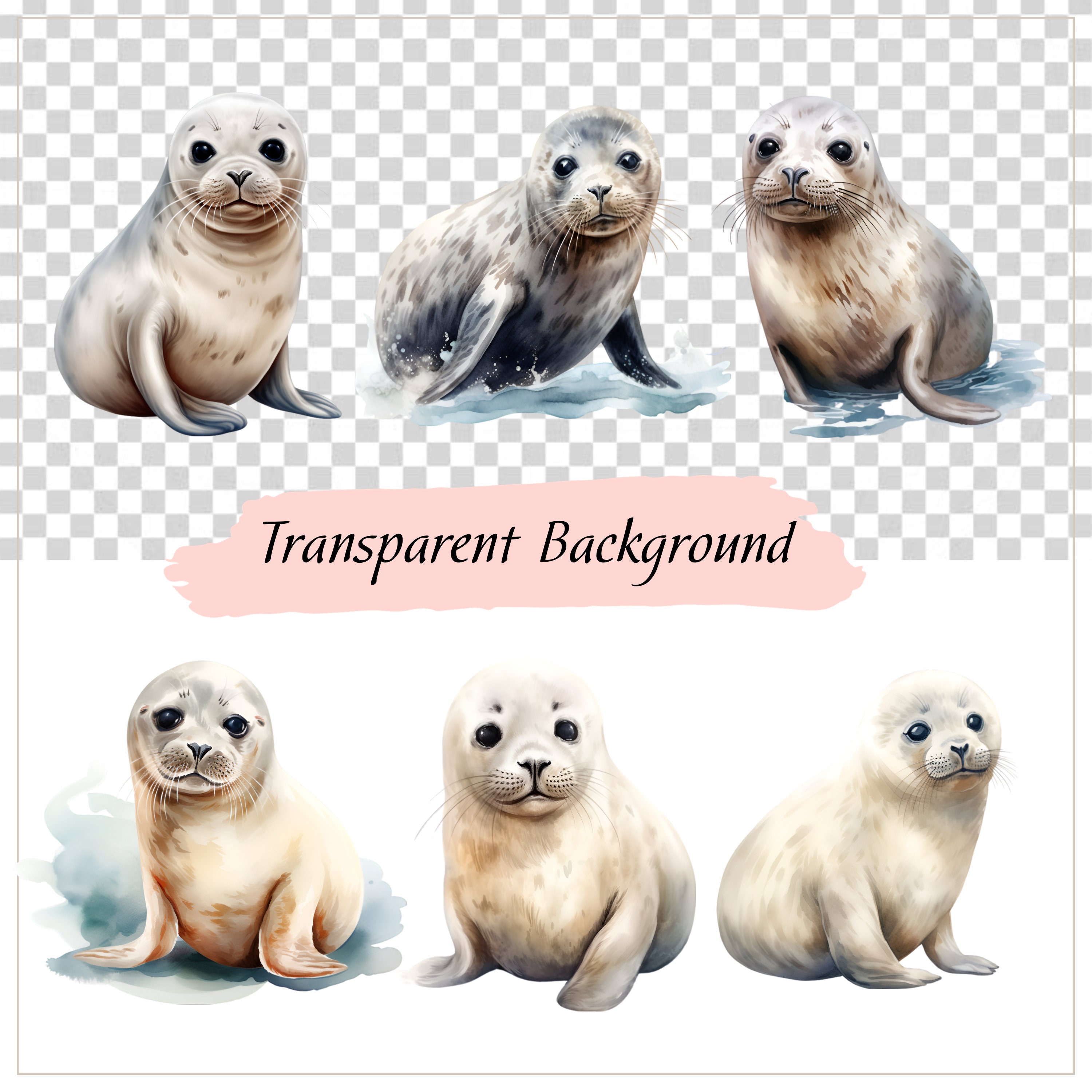 Seal Clipart, Seal Png, North Pole, Arctic Animals Clipart, Winter ...