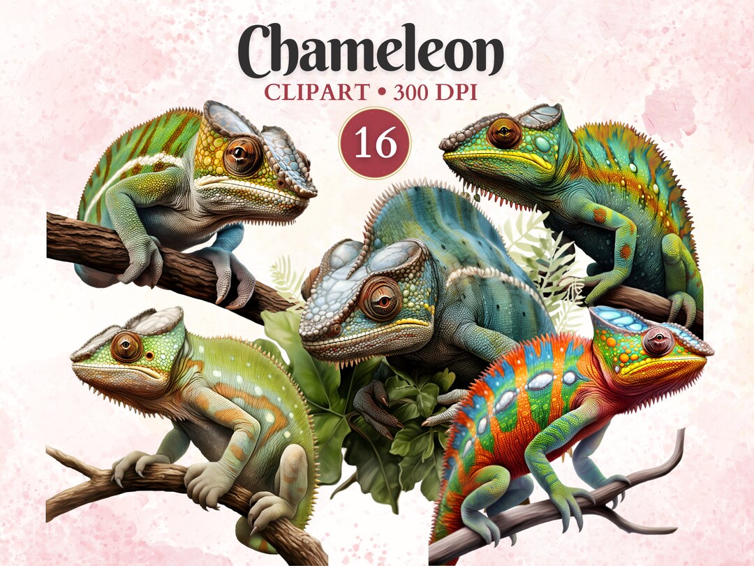 Chameleon Clipart, Chameleon Png, Lizard Clipart, Lizard Silhouette ...