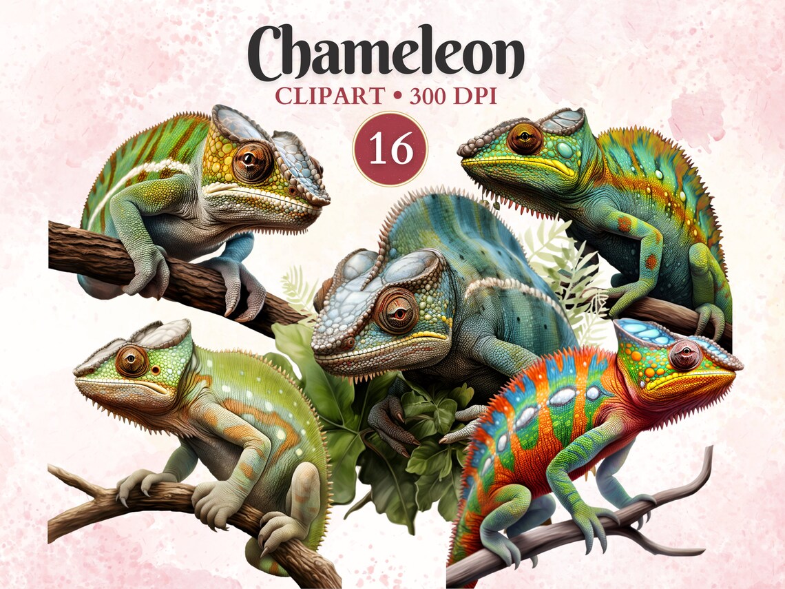 Chameleon Clipart, Chameleon Png, Lizard Clipart, Lizard Silhouette ...