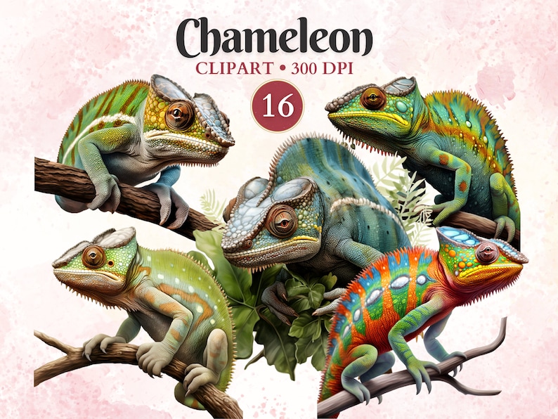 Chameleon Clipart, Chameleon Png, Lizard Clipart, Lizard Silhouette ...