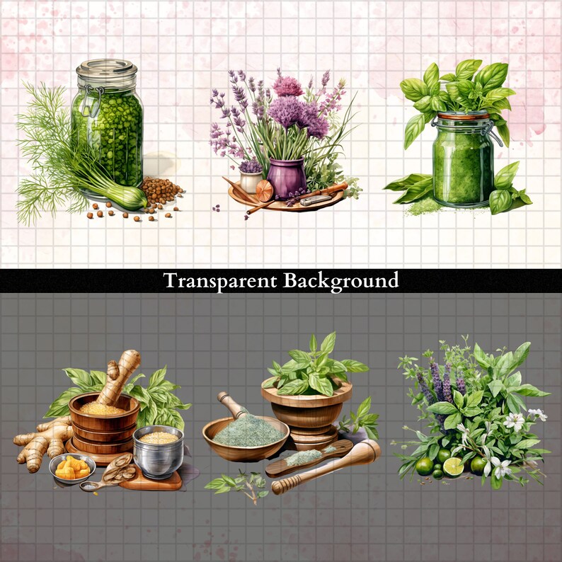 Watercolor Herbs Clipart, Bundle, Set, Herbs Png, Illustrations, Spice ...