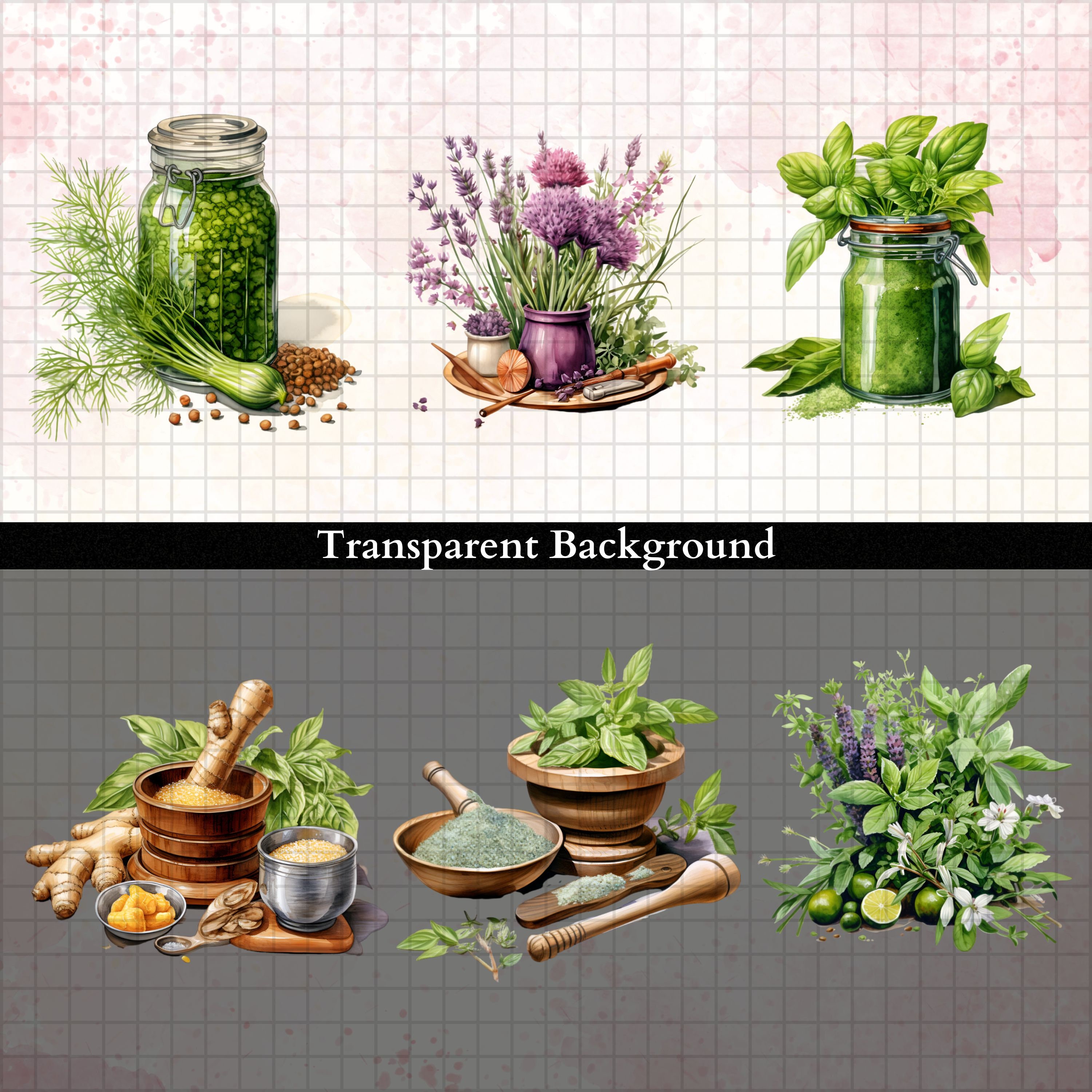 Watercolor Herbs Clipart, Bundle, Set, Herbs Png, Illustrations, Spice ...