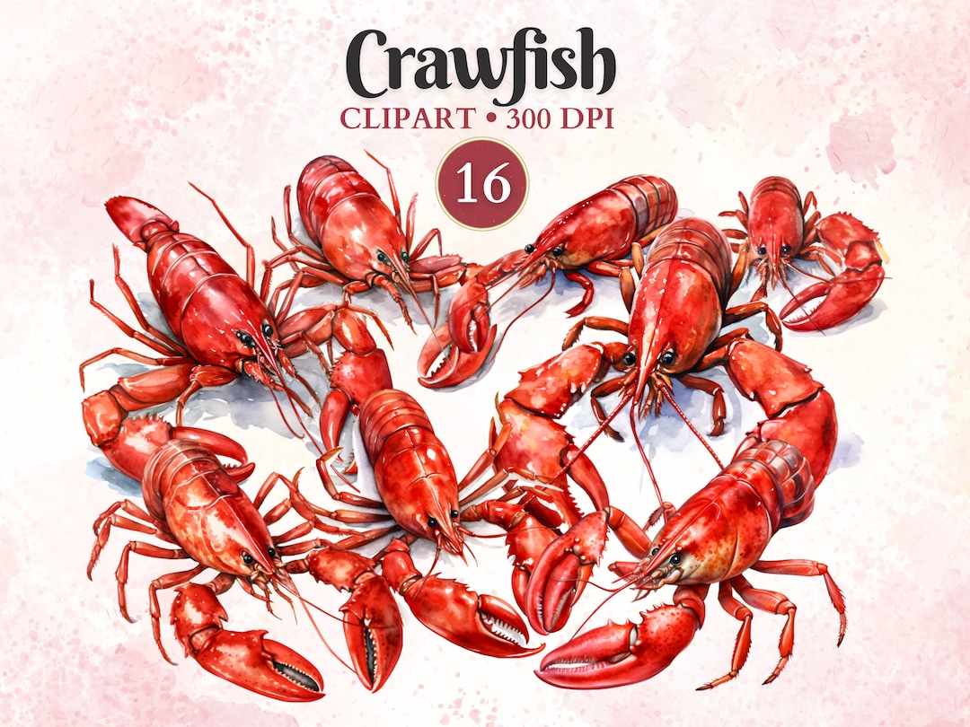 Crawfish Clipart, Crawfish Png, Crawfish Vector, Fish Clipart, Crawfish ...