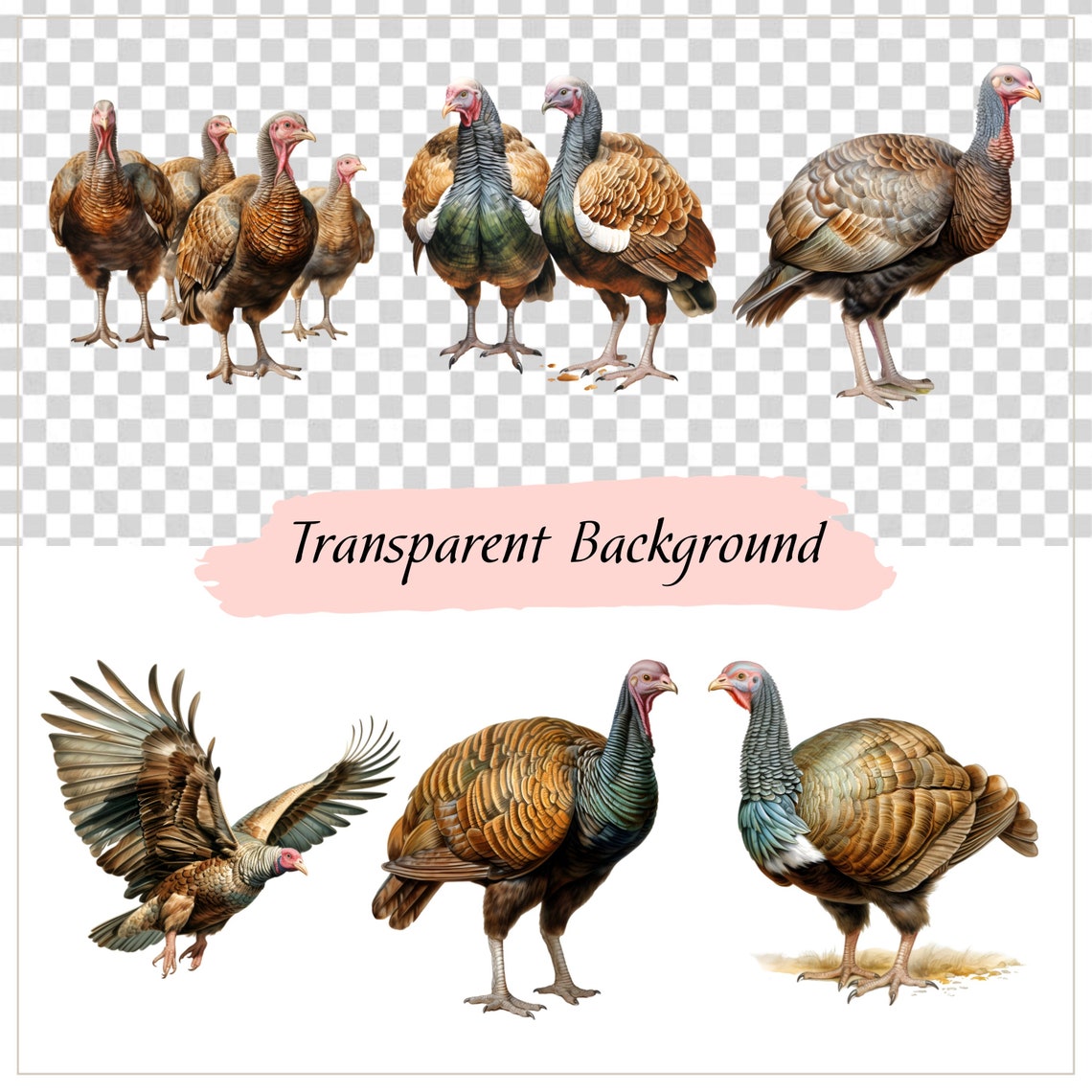 Turkey Clipart Turkey Png Turkey Silhouette Turkey Face - Etsy