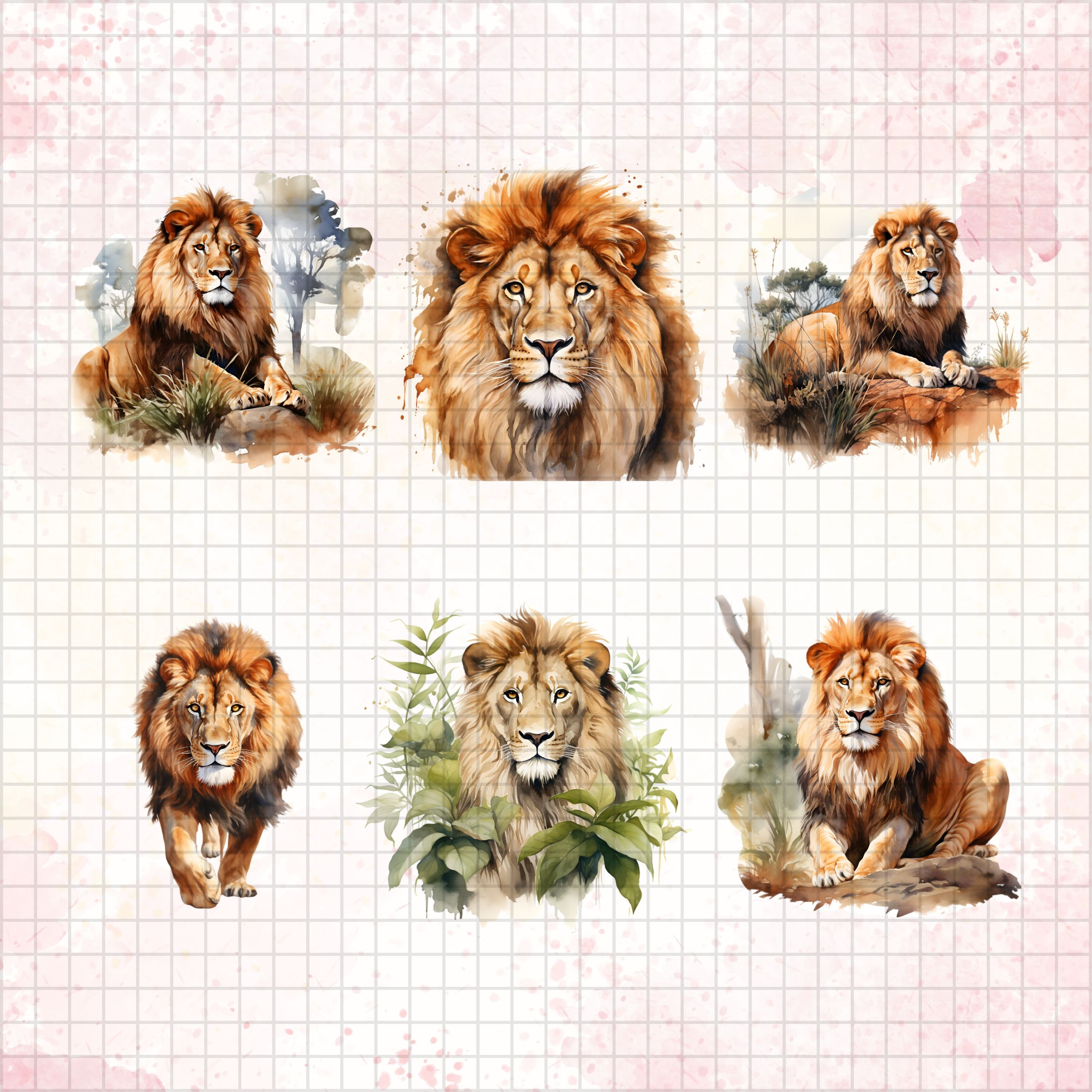 Lion Clipart Safari Clipart Lion Png Safari Animals - Etsy