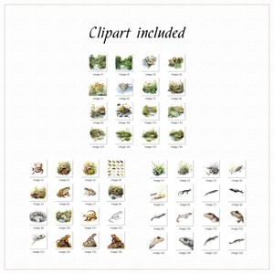 Ponds Clipart Bundle, Pond Png, Pond Vector, Frog Clipart, Tadpole ...