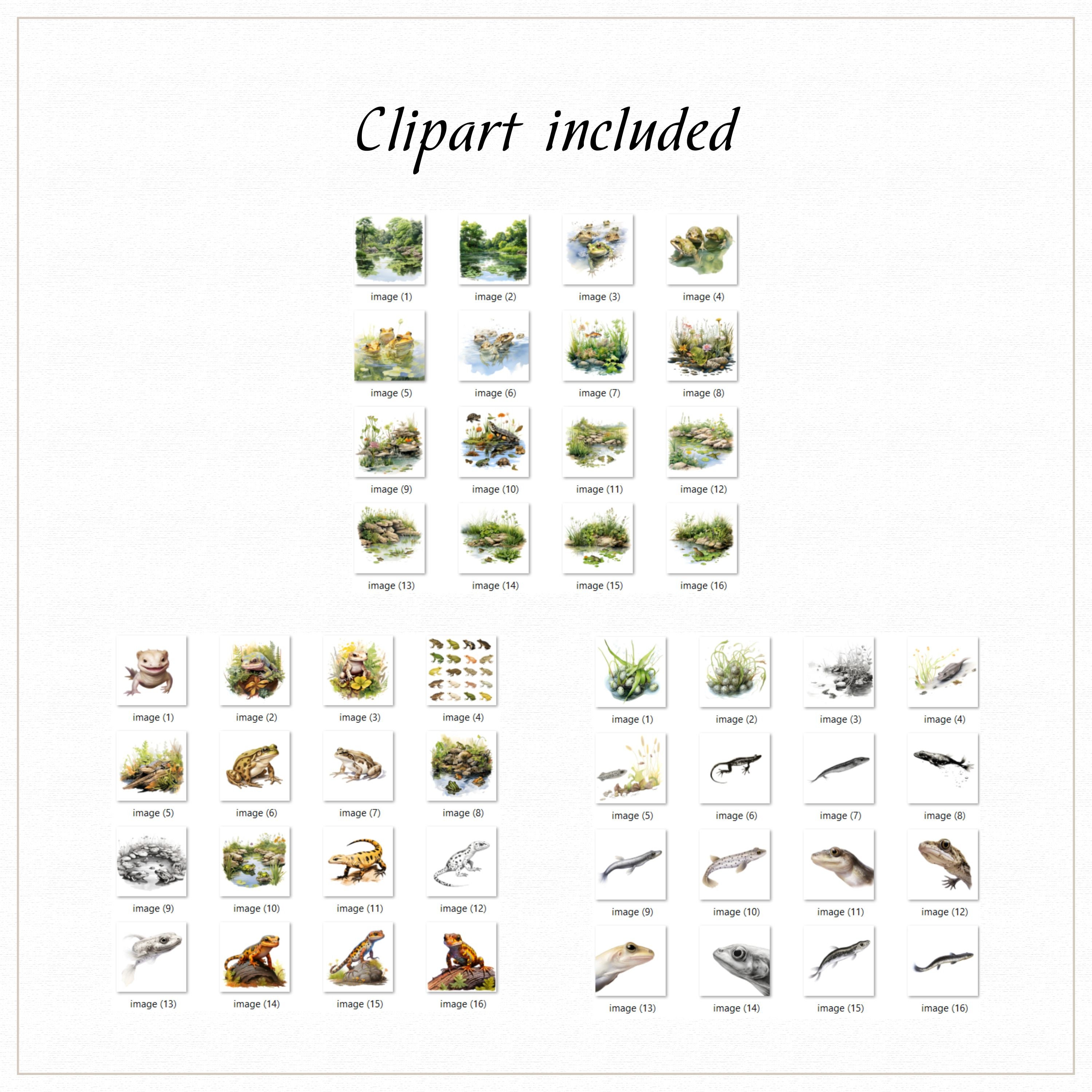 Ponds Clipart Bundle, Pond Png, Pond Vector, Frog Clipart, Tadpole ...