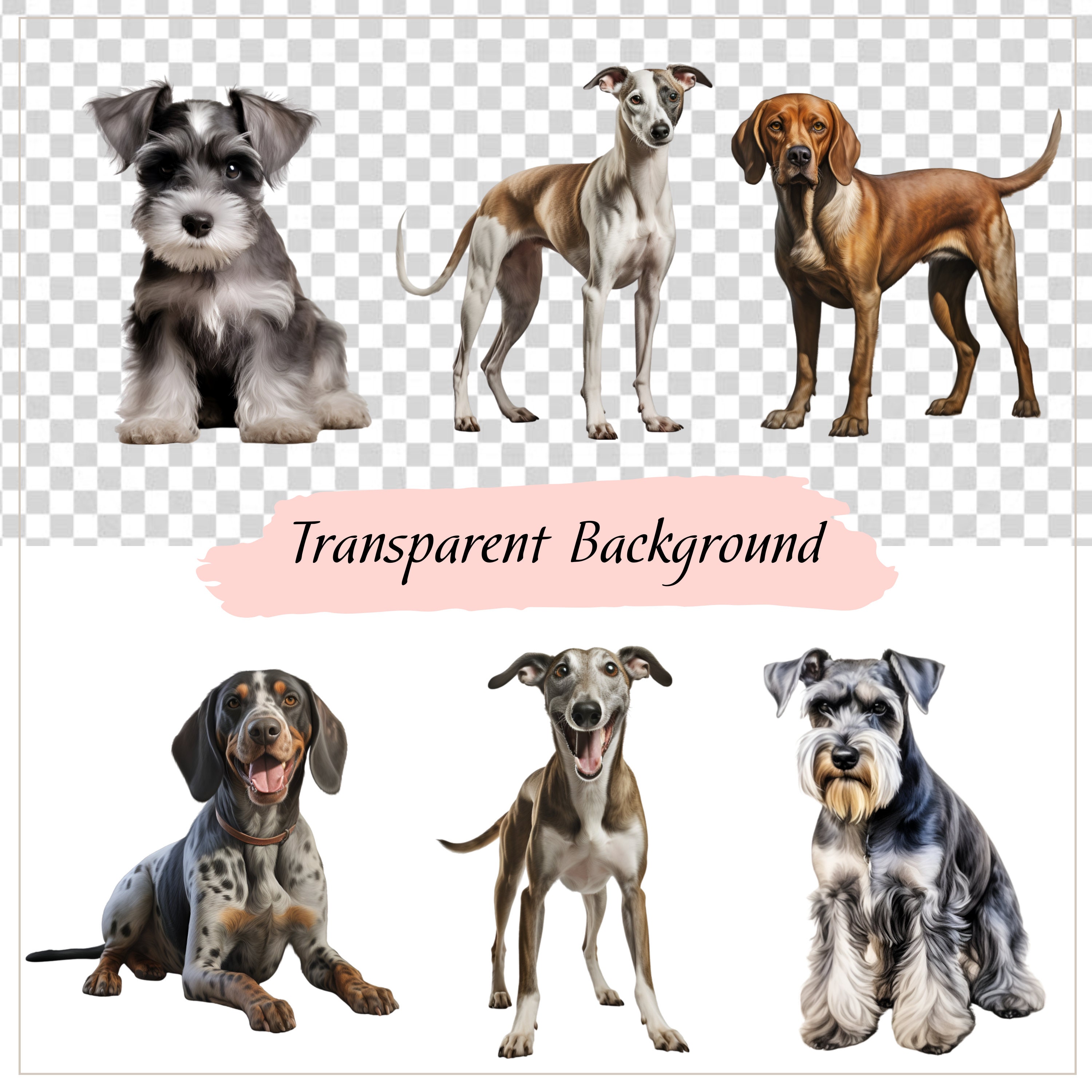 Dogs Breeds Clipart Bundle, Italian Greyhound, Hound Silhouette ...