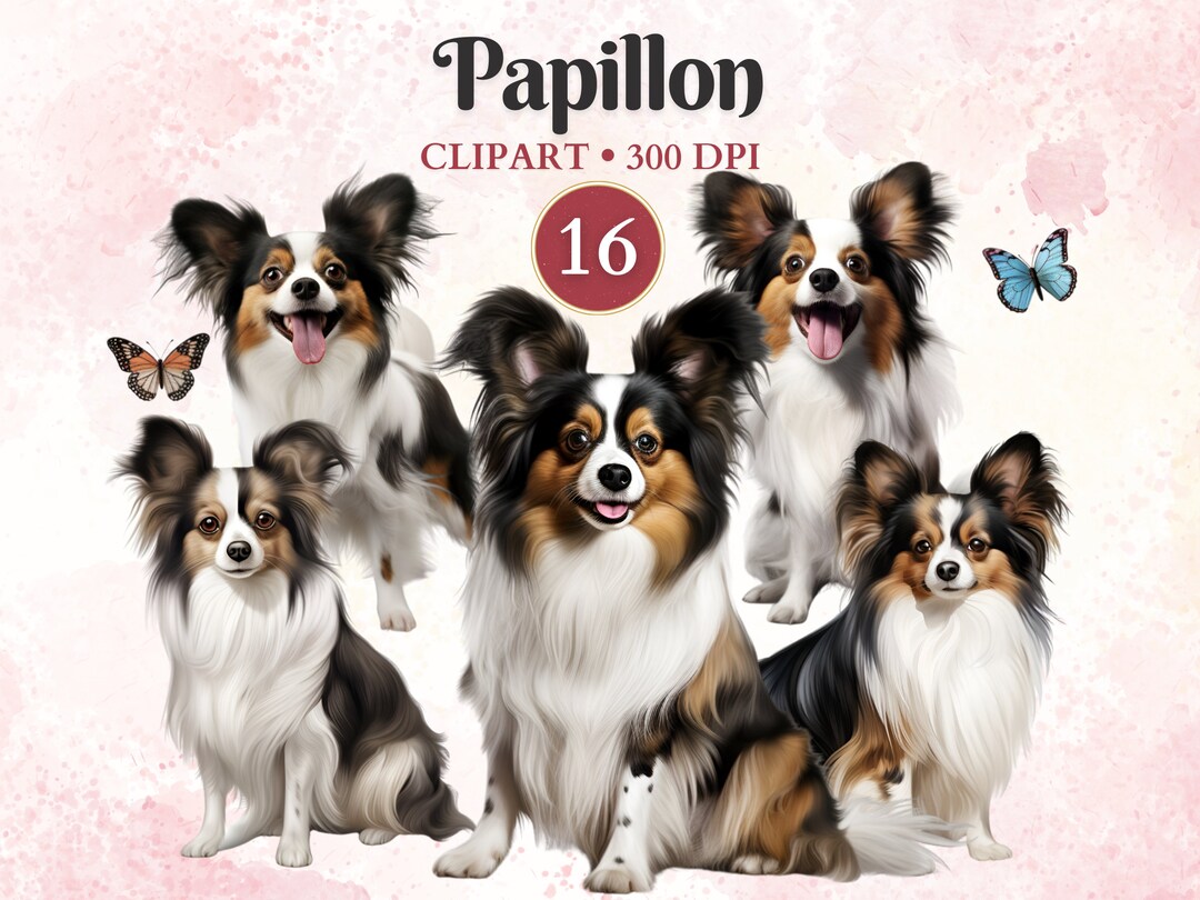 Papillon Clipart, Butterfly Graphics, Papillon Vector, Pet Graphics ...