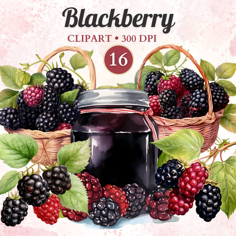 Blackberry Clip Art - Etsy