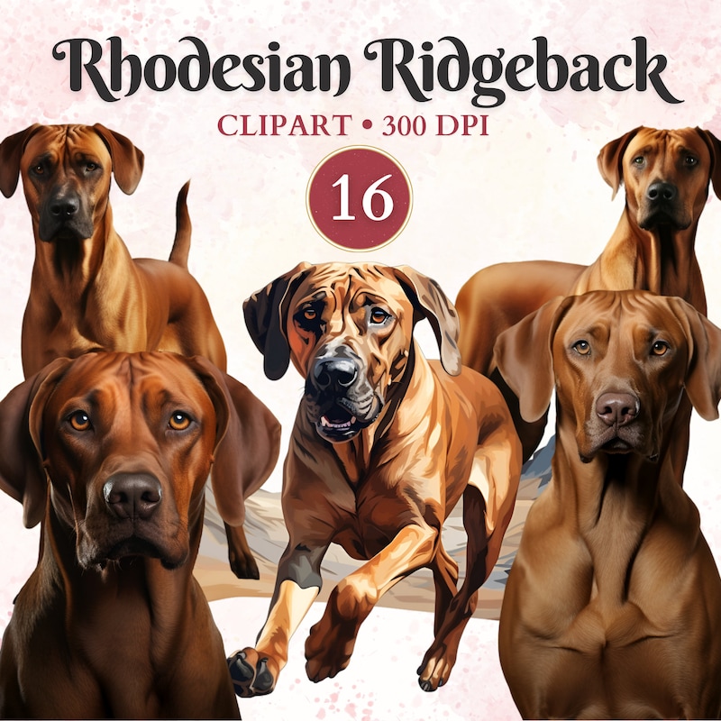 Rhodesian Ridgeback Clipart - Etsy