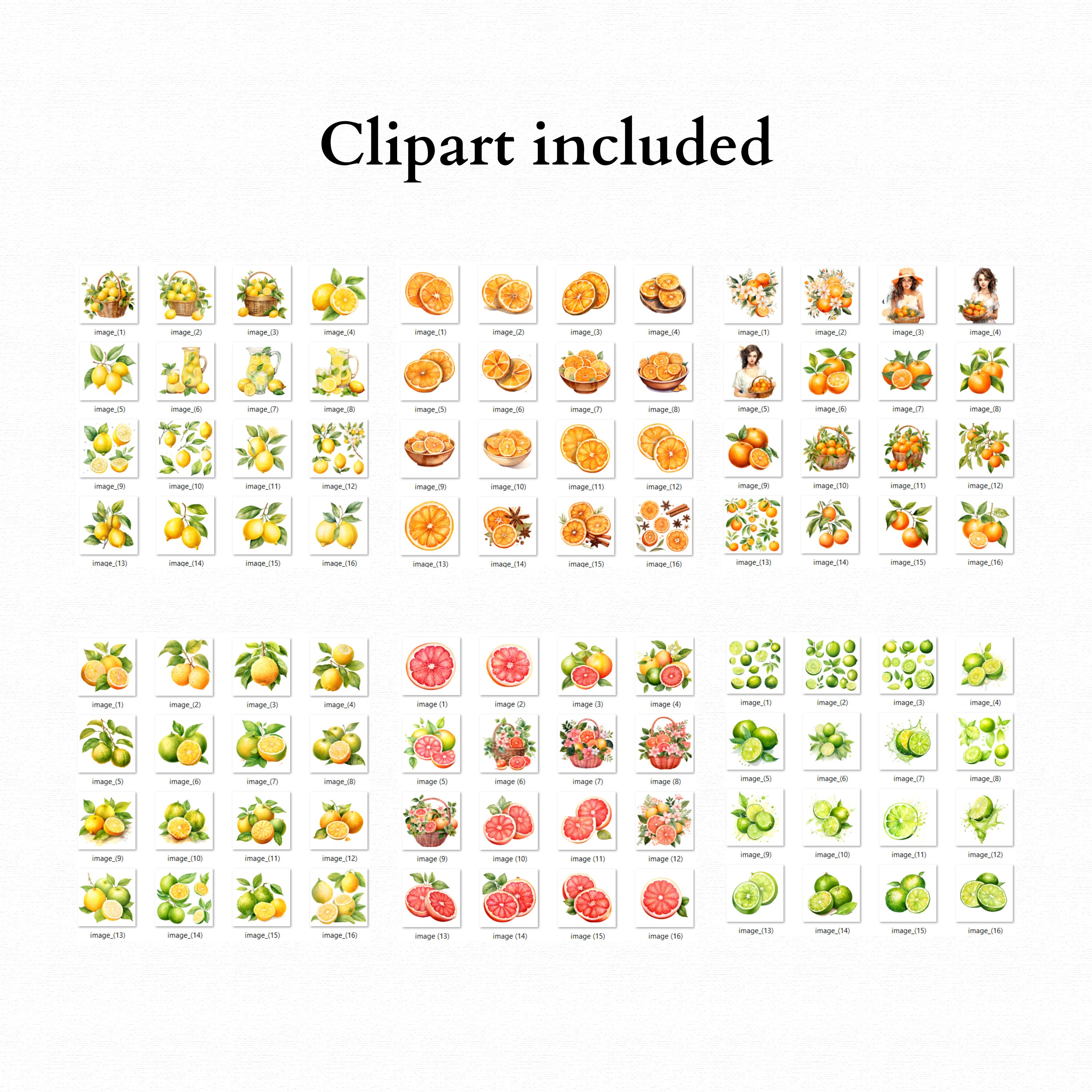 Citrus Clipart Bundle, Set, Lemon Clipart, Orange Branches, Lime Png ...