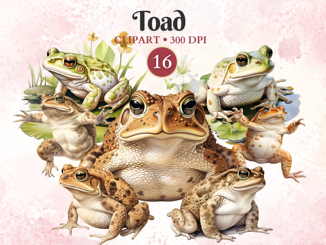 Toad Clipart, Toad Png, Toad Vector, Amphibian Clipart, Swamp, Pond ...