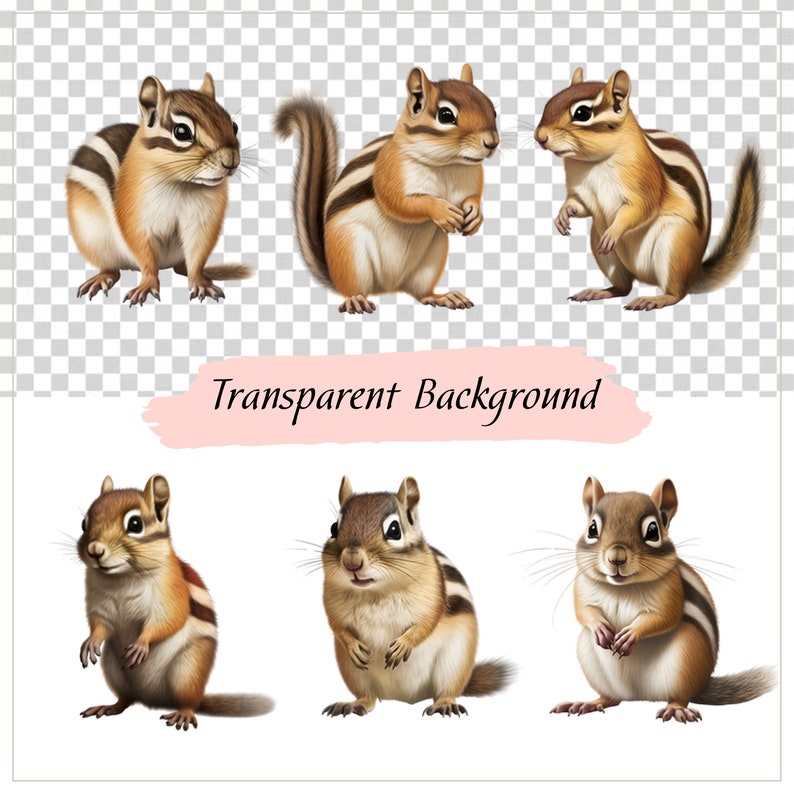 Chipmunk Clipart, Squirrel Silhouette, Vector Chipmunk, Woodland Animal ...