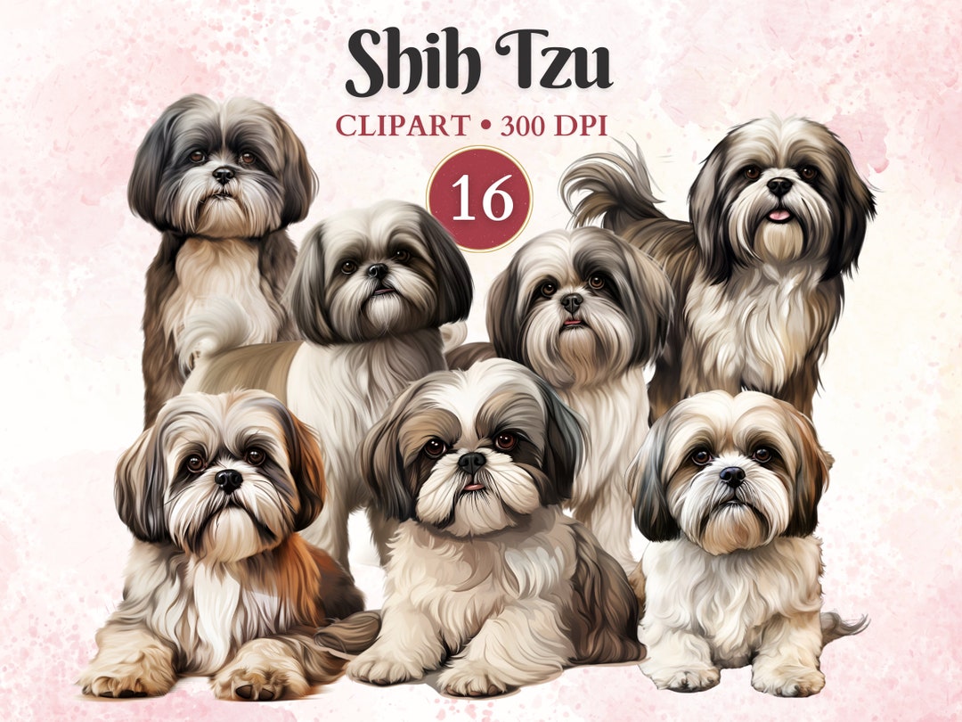 Shih Tzu Clipart, Shih Tzu Vector, Pet Graphics, Dog Vector Art, Animal ...