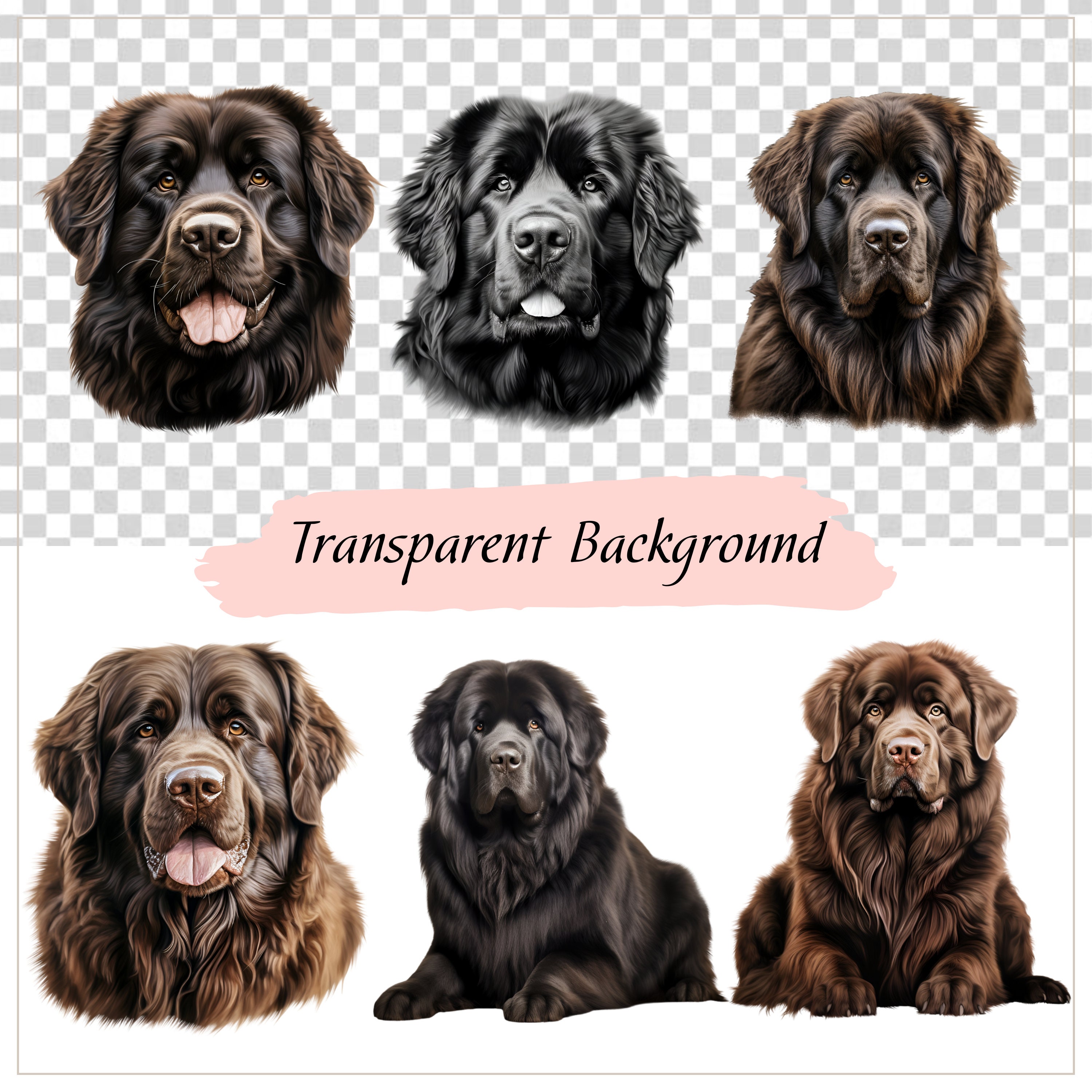 Newfoundland Clipart, Newfoundland Dog, Pet Graphics, Pet Vector Art, Large Dog Breed, Canine ...