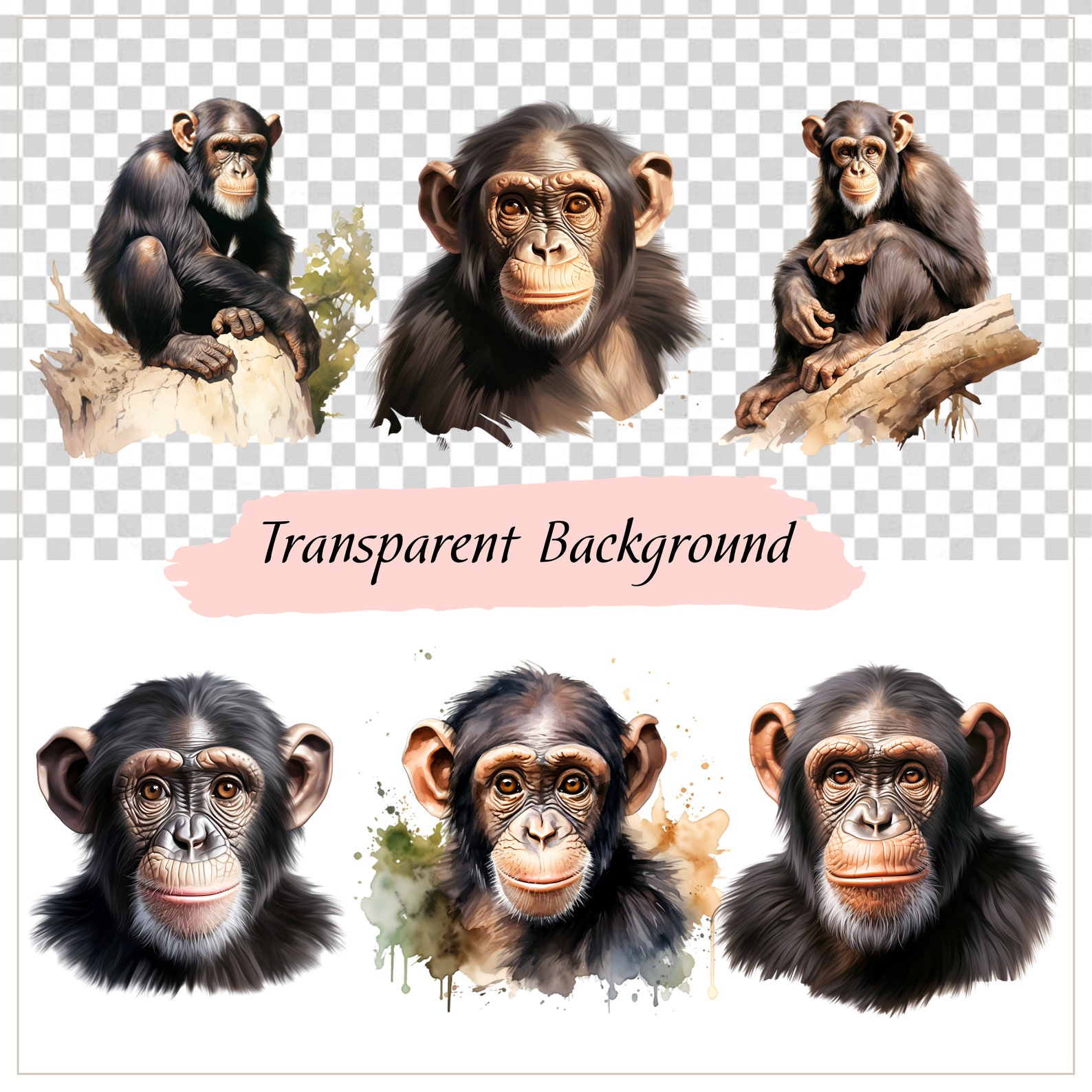 Chimpanzee Clipart, Chimpanzee Png, Monkey Png, Zoo Animals Clipart ...