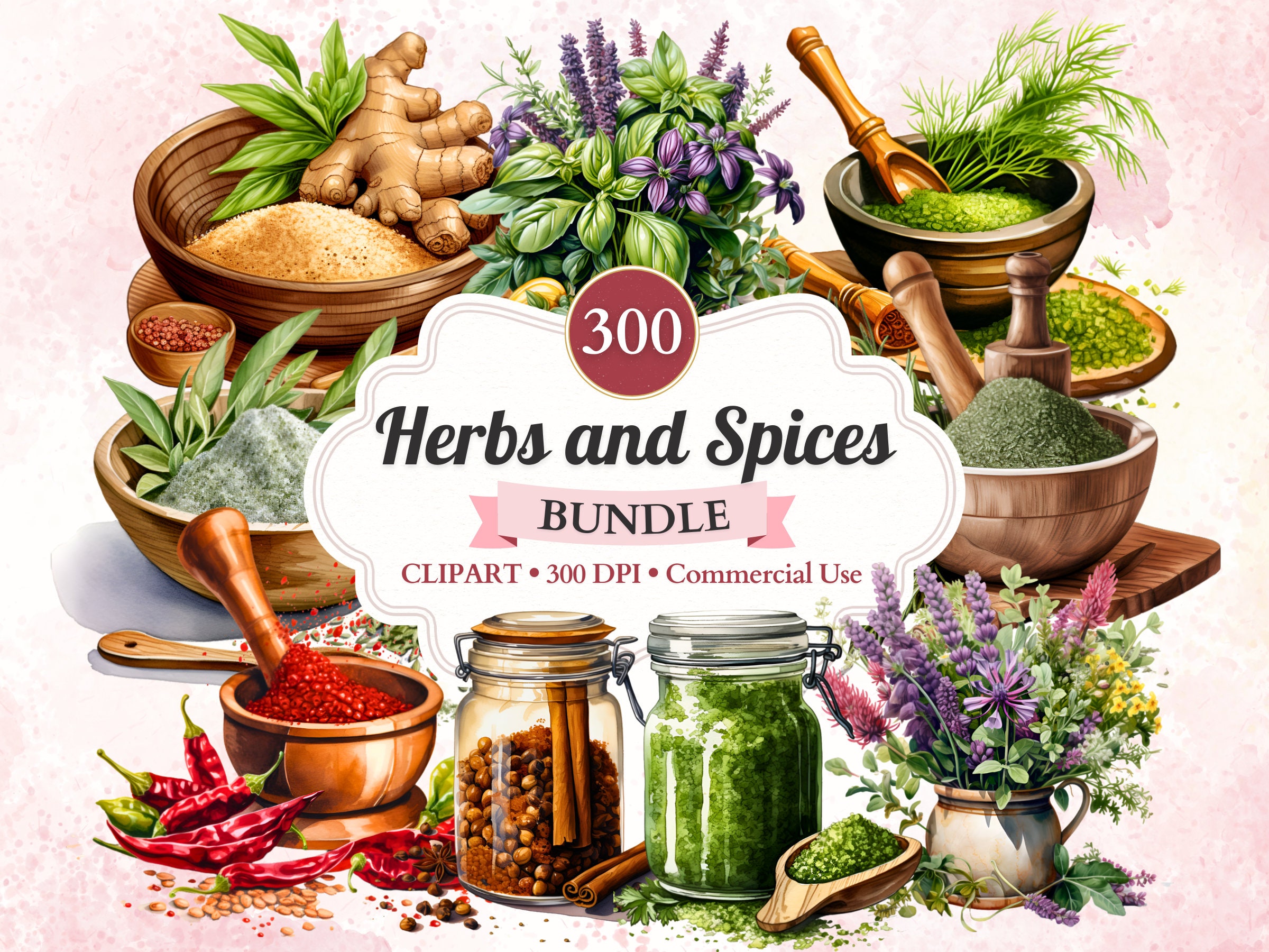 Herbs and Spices Clipart, Bundle, Set, Watercolor, Herbs Png, Spice ...