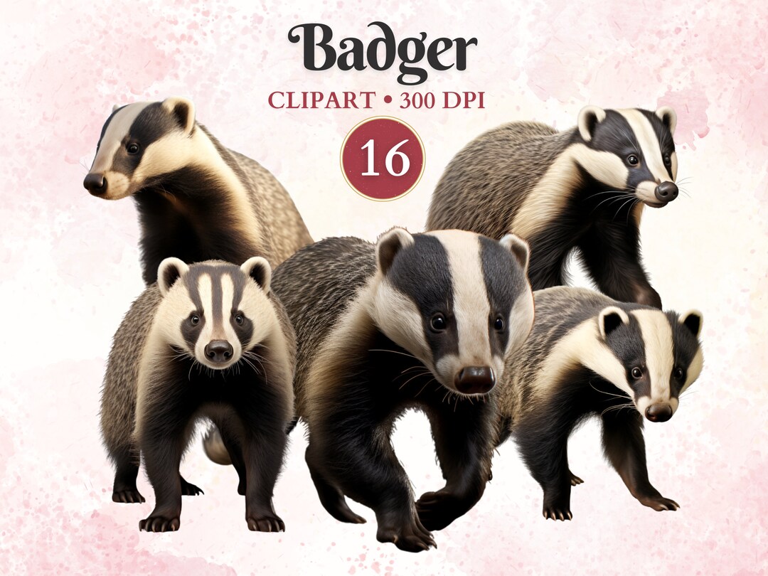 Badger Clipart, Wild Animals, Honey Badger, Wildlife Clipart, Forest ...