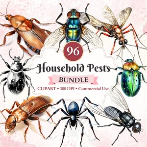 Household Pests Clipart Bundle, Insect Clipart, Silhouette, Entomology ...