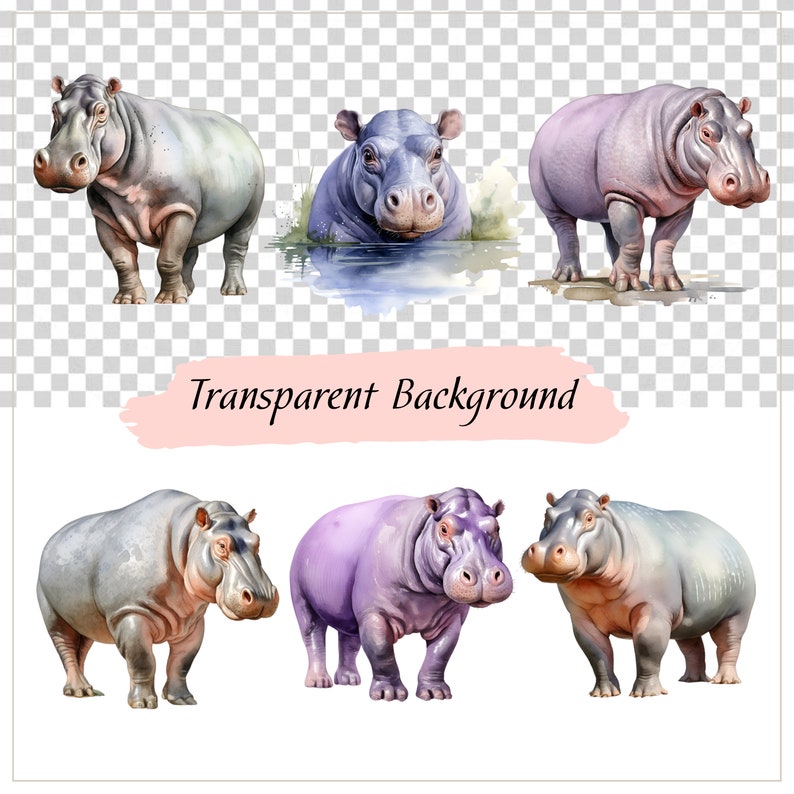 Hippo Clipart, Hippo Png, Safari Animals, Hippopotamus Clipart ...