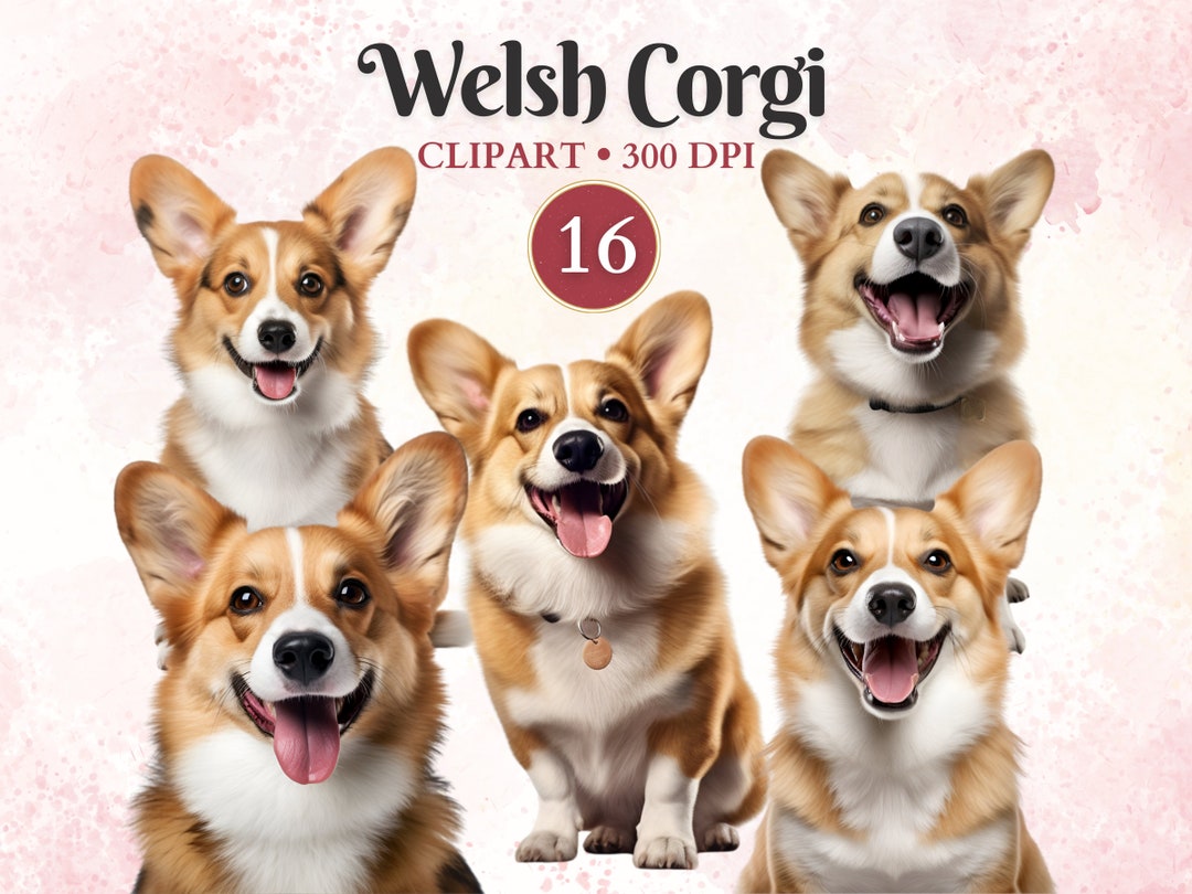 Corgi Clipart, Cute Corgi, Pet Graphics, Dog Vector Art, Animal ...