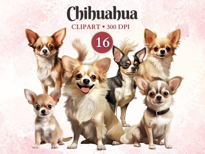 Chihuahua Clipart, Cute Chihuahua, Pet Graphics, Dog Vector Art, Animal ...