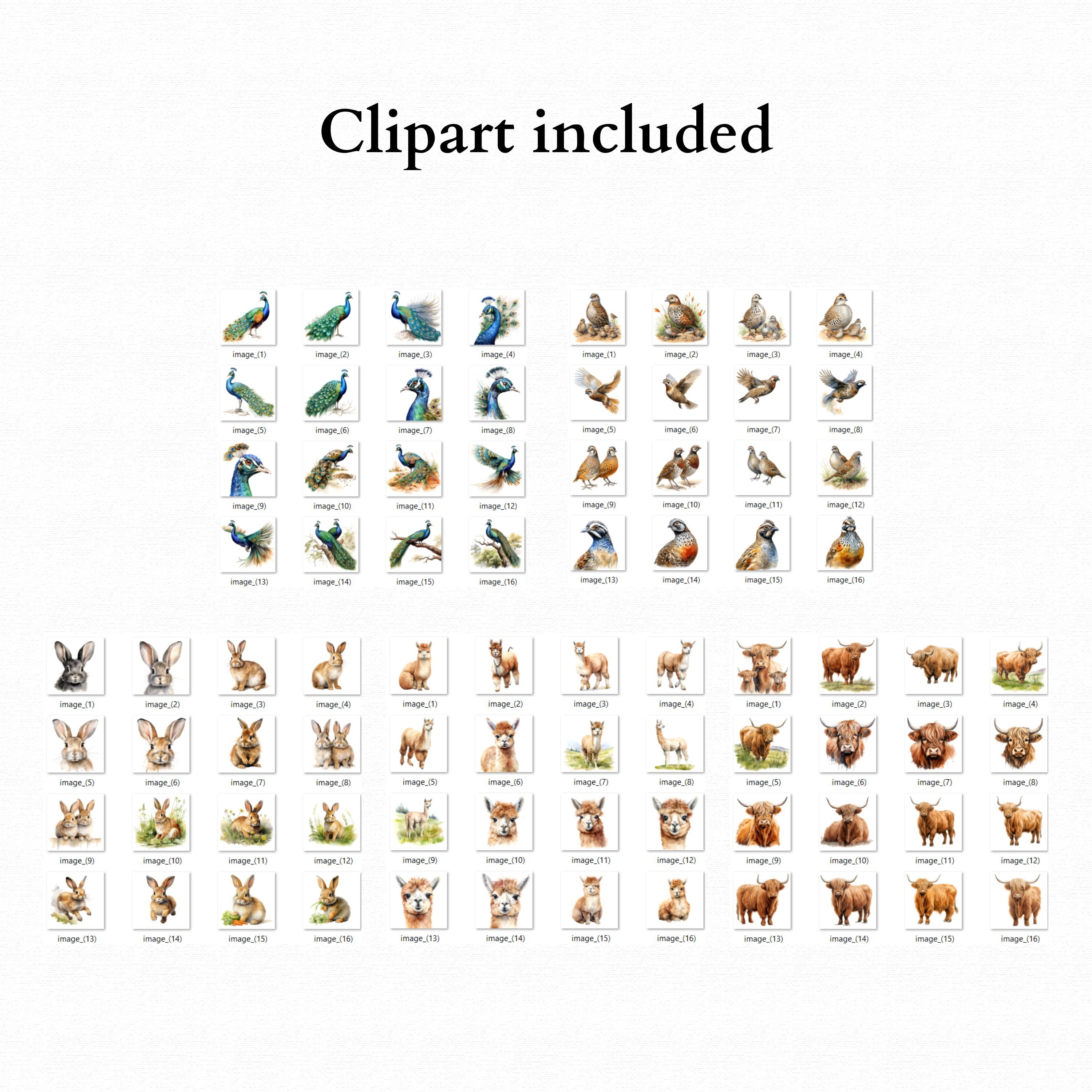 Farm Animals Clipart Bundle, Farm Animals Images, Rabbit, Alpaca ...