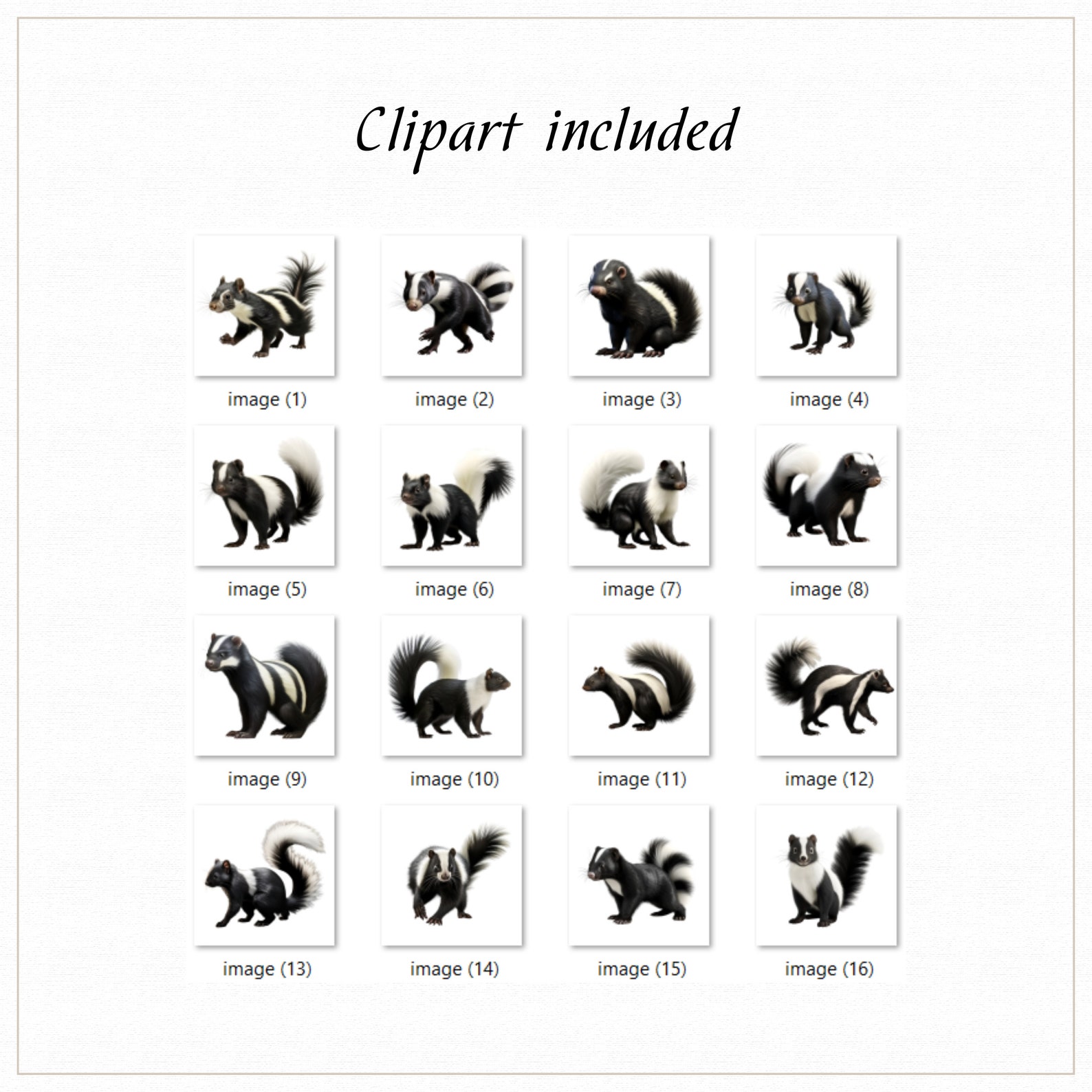 Skunk Clipart, Wild Animals, Skunk Png, Wildlife Clipart, Forest Png ...