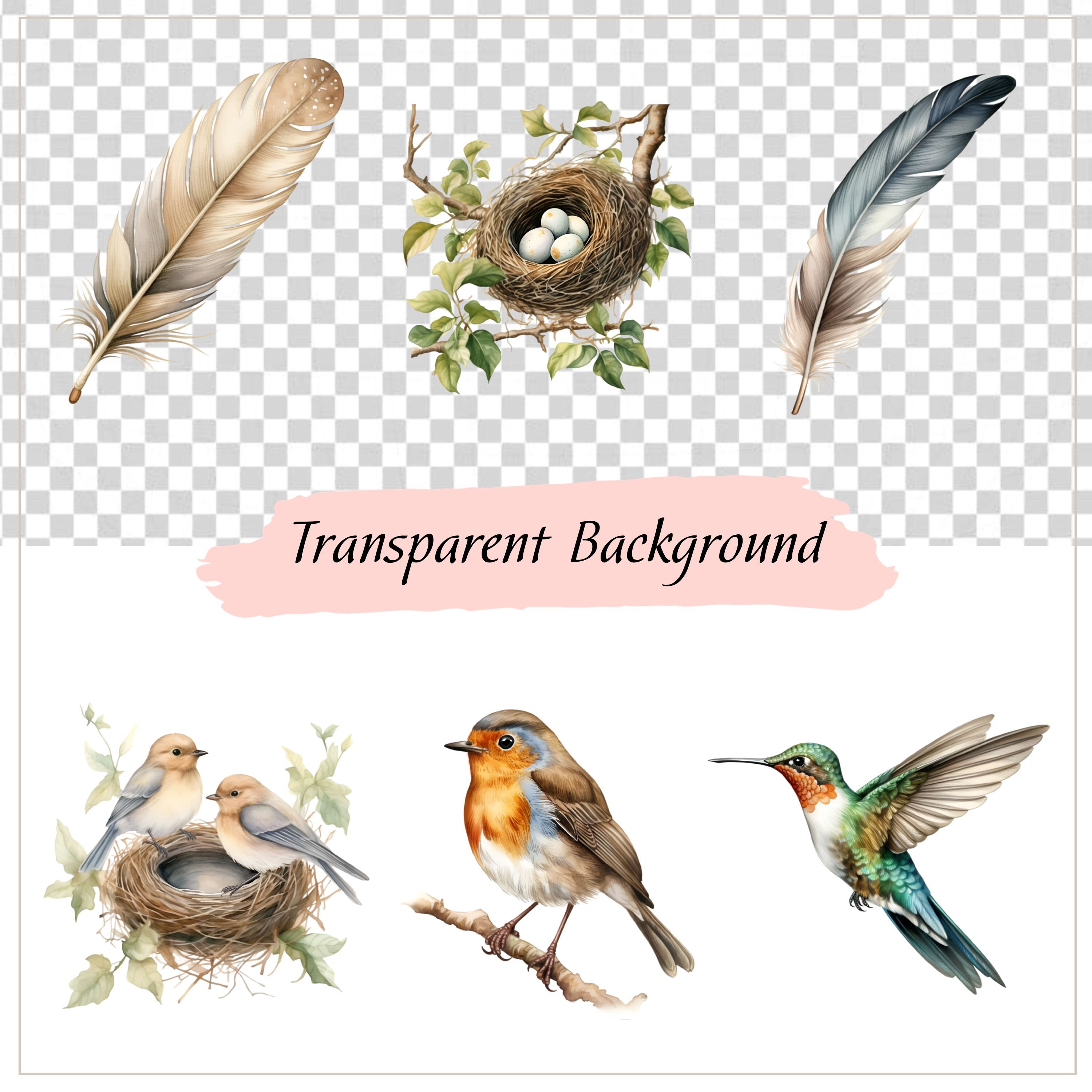 Birds Clipart Bundle, Bird Png, Bird Silhouette, Bird Vector, Nest ...