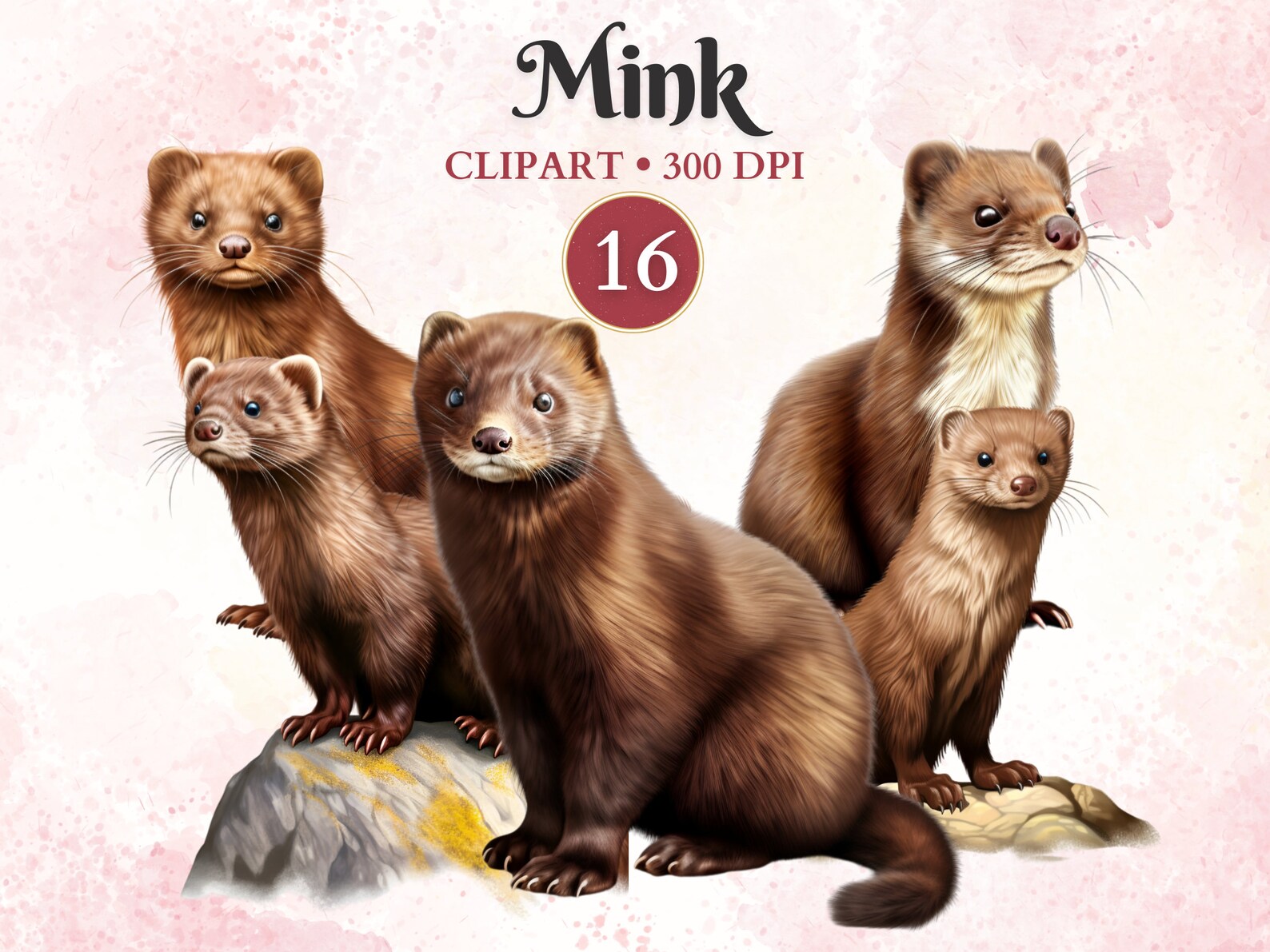 Mink Clipart, Wild Animals, Mink Png, Wildlife Clipart, Forest Png ...