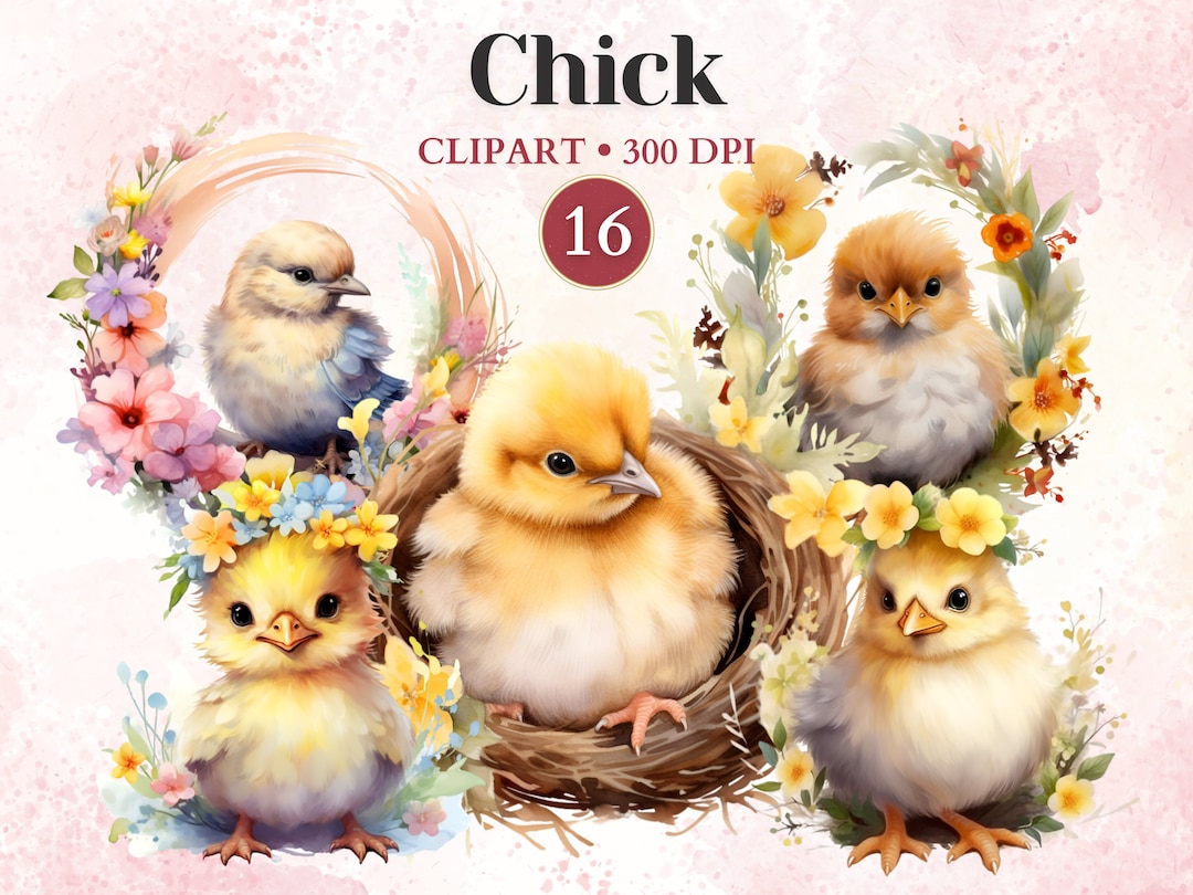 Chick Clipart, Chick Png, Spring Clipart, Watercolor Easter, Easter ...