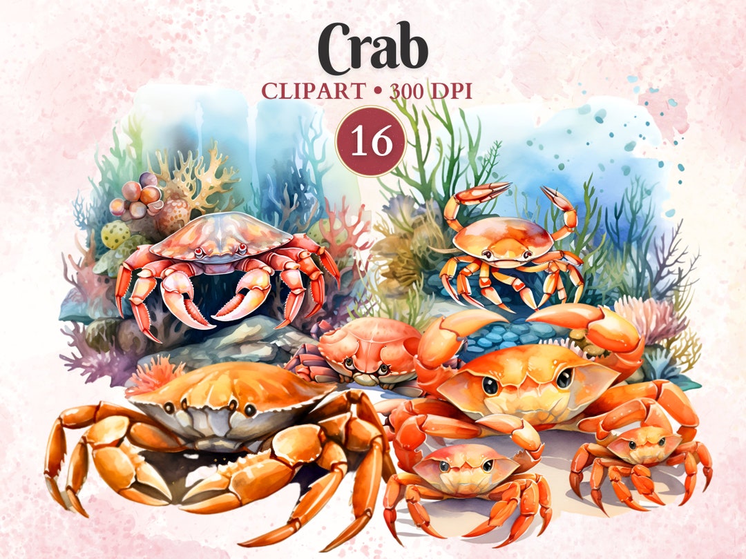 Crab Clipart, Crab Png, Fish Clipart, Fish Silhouette, Fish Vector, Sea ...