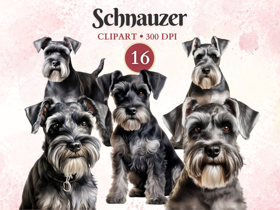 Schnauzer Clipart, Miniature Schnauzer, Dog Silhouette Clip Art, Pet ...